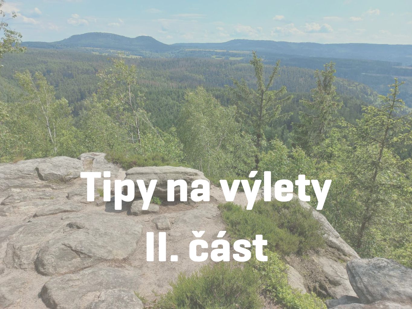 7 tipů na výlety se psem i v horku | Fitmin Blog